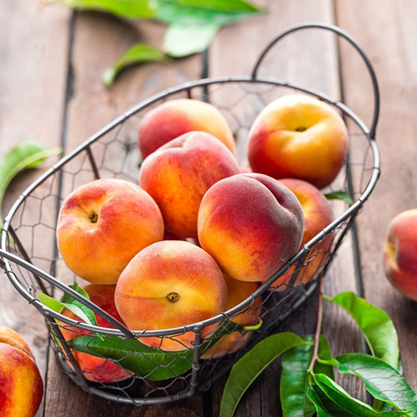 Brandy (Đào) - Sapawine